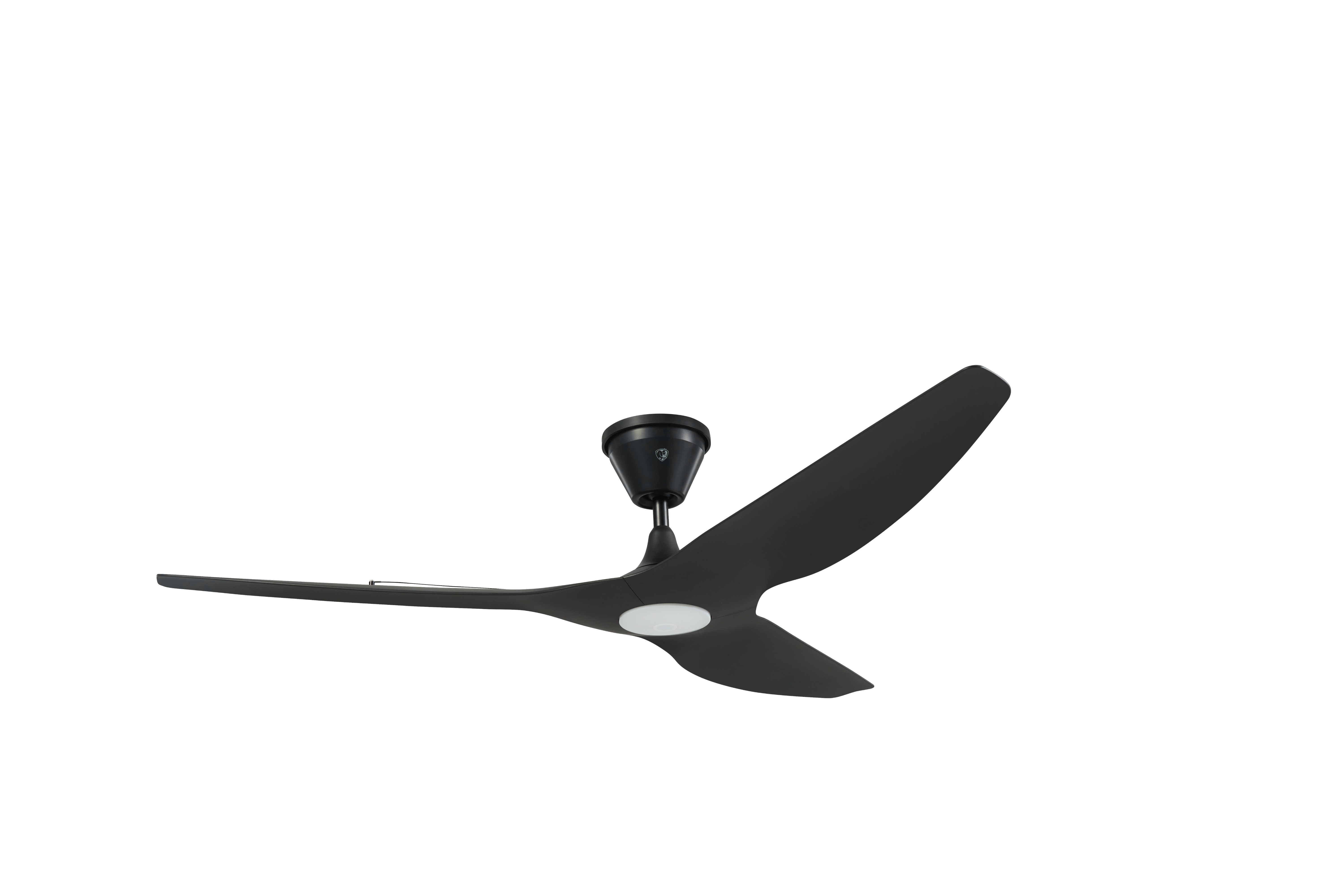 Haiku Marine Grade Coastal Fan - Corrosion Resistant and Storm Ready ...